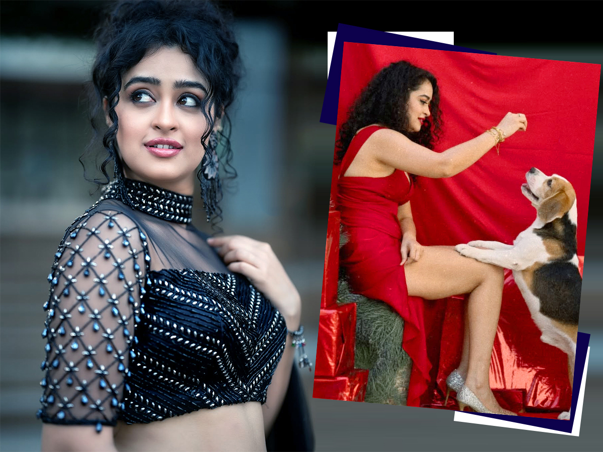 న్యూ ఇయర్‌ ఔట్‌ఫిట్‌లో గ్లామర్‌ బ్యూటీ 'అప్సర రాణి' (ఫోటోలు) | Actress Apsara Rani Beautiful And ...